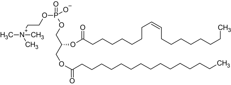 1-Palmitoyl-2-oleoyl-sn-glycero-3-phosphorylcholine (POPC ...