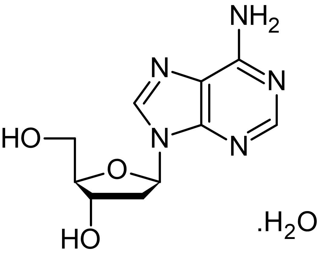 2'-Deoxyadenosine monohydrate, deoxyribonucleoside (CAS 16373-93-6 ...