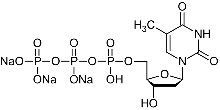 2'-Deoxythymidine 5'-triphosphate [dTTP] trisodium salt