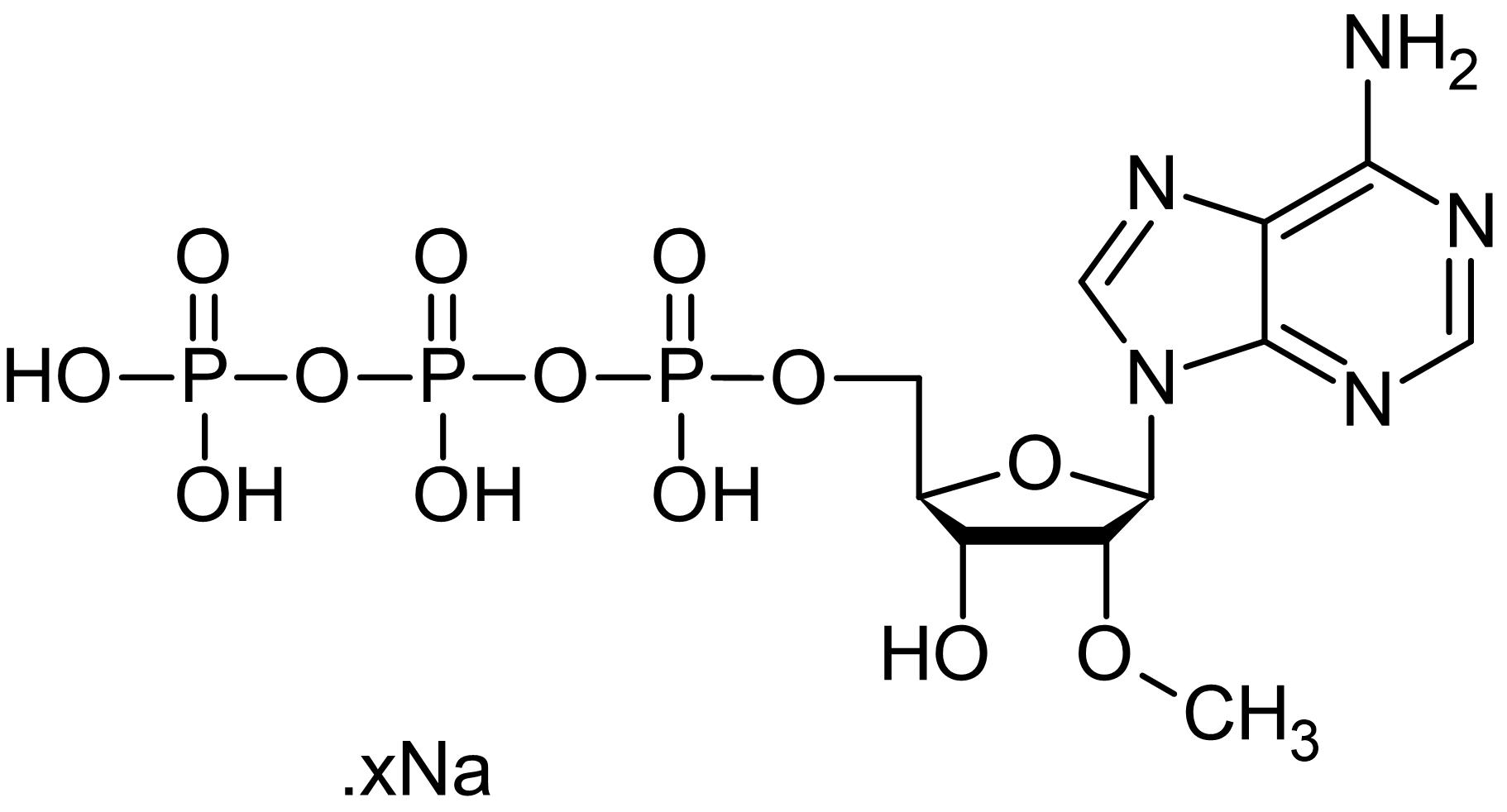 2'-OMe-ATP (aqueous solution), RNA polymerase inhibitor (ab146752) | Abcam