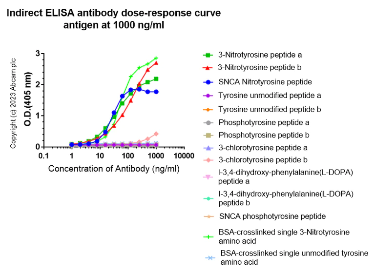 Anti-3-Nitrotyrosine antibody [EPR27217-88] - BSA and Azide free ...