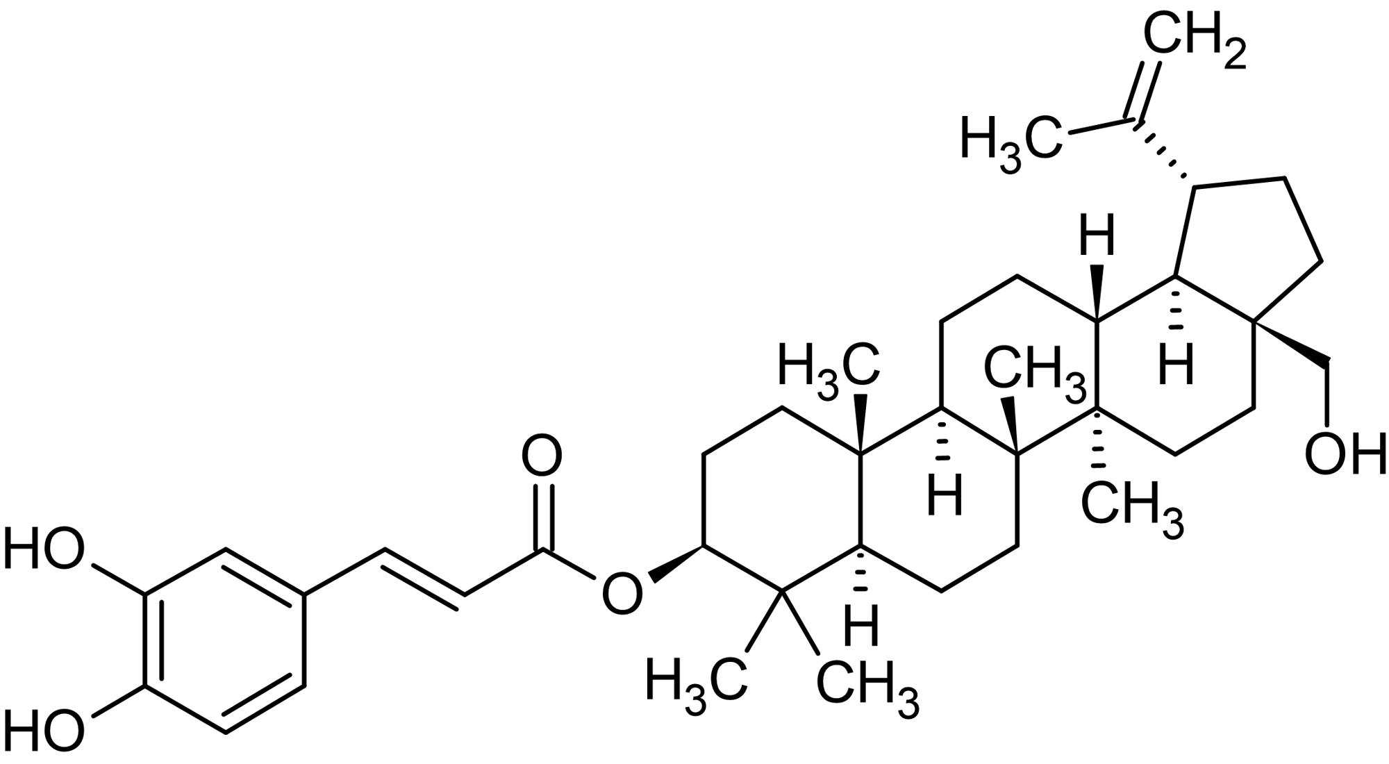 3-O-Caffeoyl-betulin, triterpene betulin derivative (CAS 89130-86-9 ...