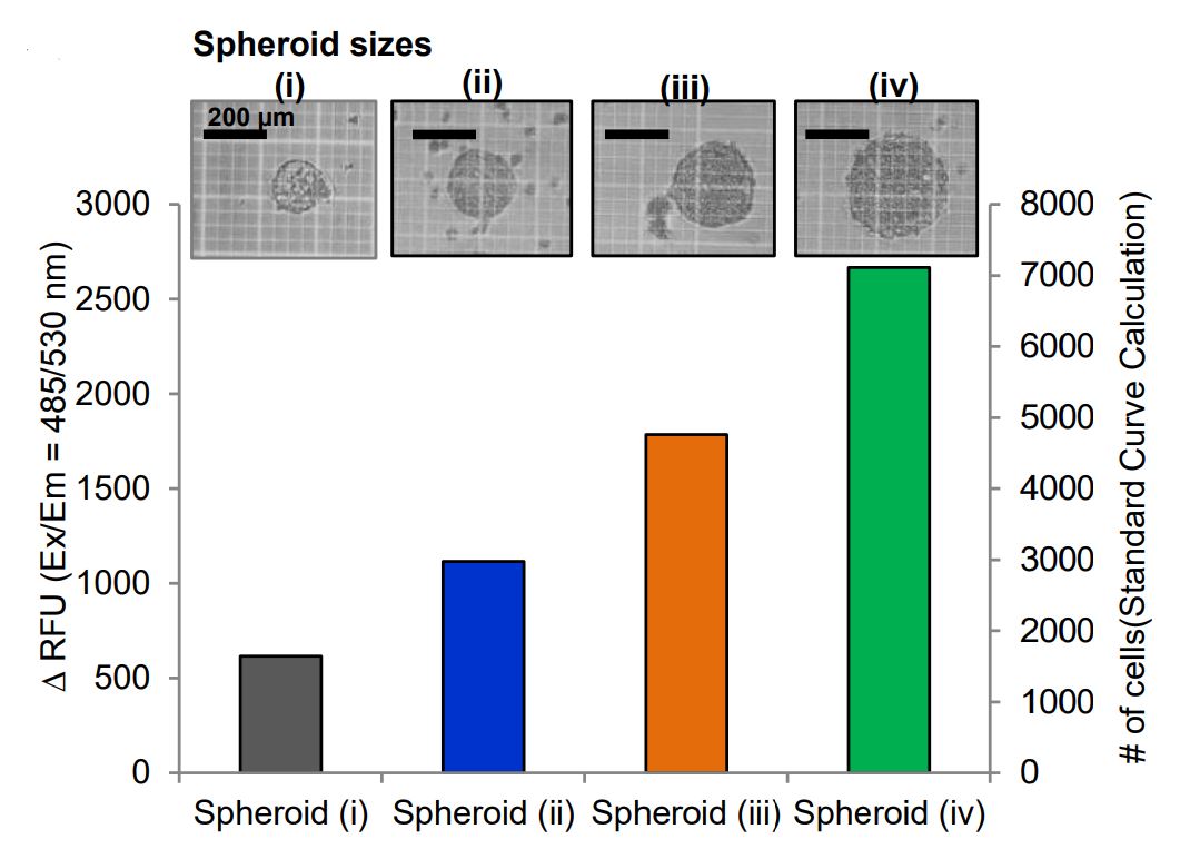 3D Cell Culture HTS Cell Viability Complete Assay Kit (ab284562) | Abcam