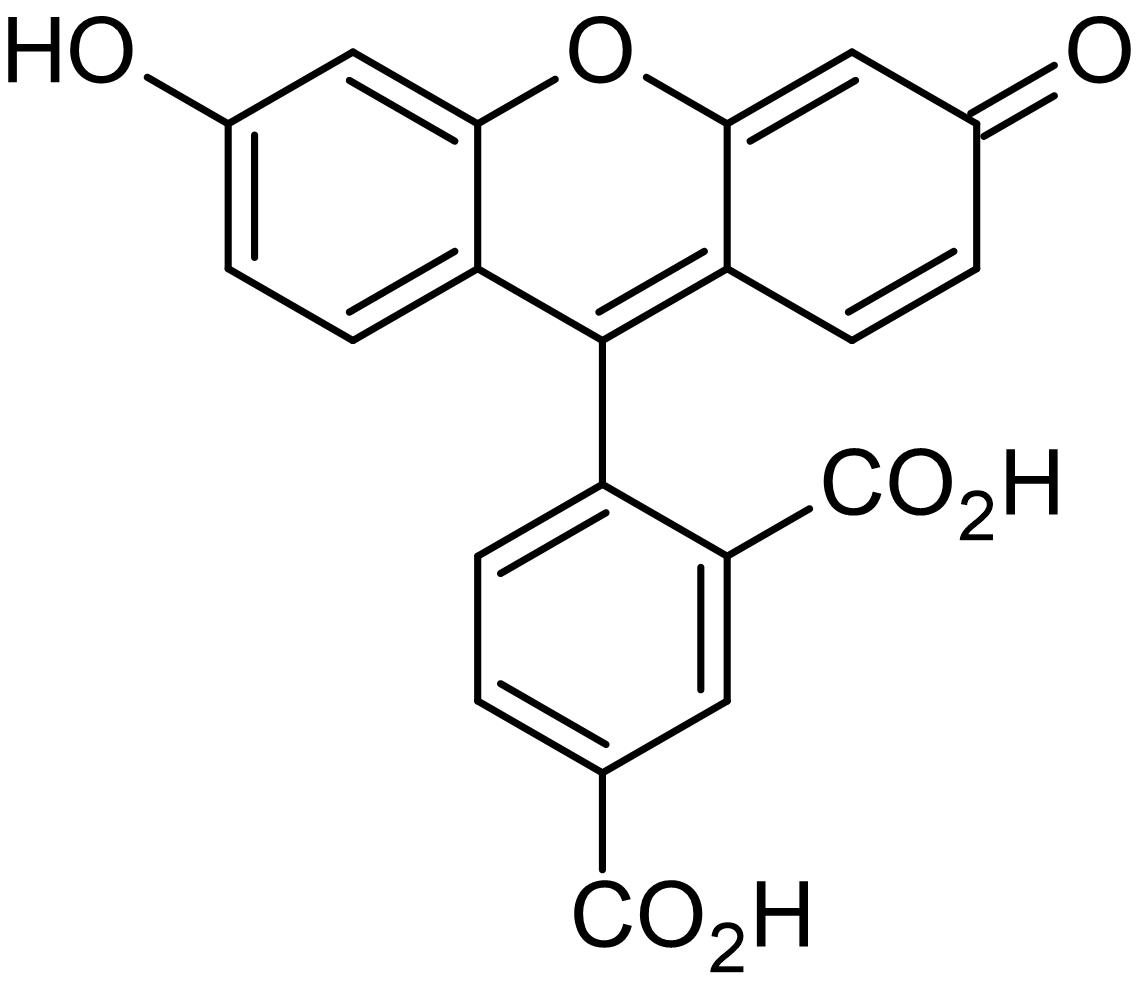 5-FAM (5-Carboxyfluorescein), Amine-reactive fluorescent label (CAS ...