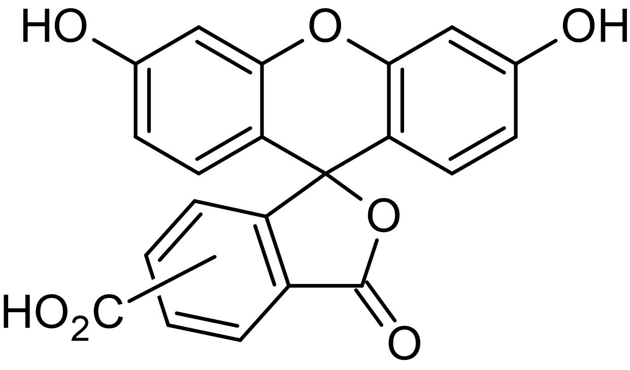 5(6)-FAM (5(6)-Carboxyfluorescein), pH-senstive fluorescent label (CAS ...