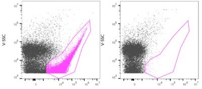 Conjugation kit | Easy Labelling (ab314688) | Abcam