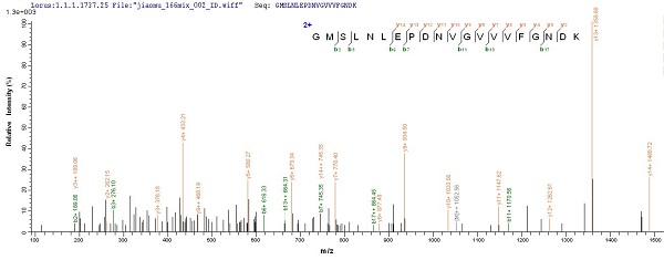 Recombinant Human ATP5A protein (Tagged)(AB235845)