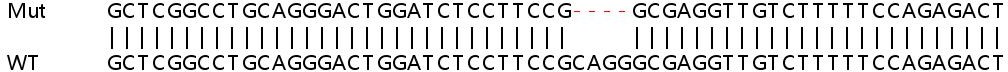 Human BATF2 (SARI) knockout A549 cell lysate(AB257854)