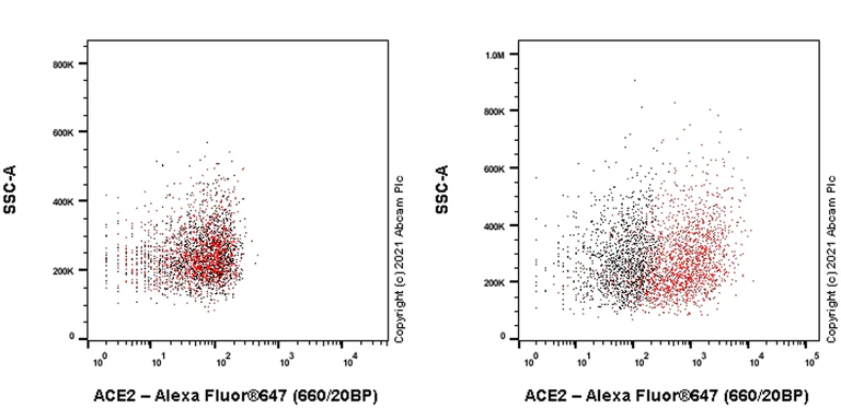 Anti-ACE2 antibody [EPR24705-45] - BSA and Azide free (ab282118) | Abcam
