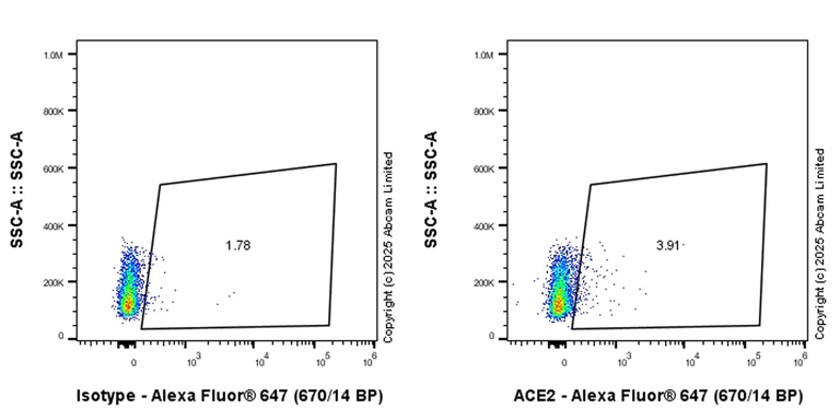 Anti-ACE2 antibody [EPR29937-577] (ab325333) | Abcam中文官网