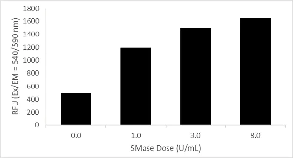 Acid Sphingomyelinase Assay Kit (Fluorometric) (ab190554) | Abcam