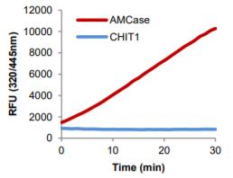 Acidic Mammalian Chitinase Activity Kit (Fluorometric) (ab273291) | Abcam