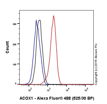Anti-ACOX1/AOX antibody [EPR19038] (ab184032) | Abcam