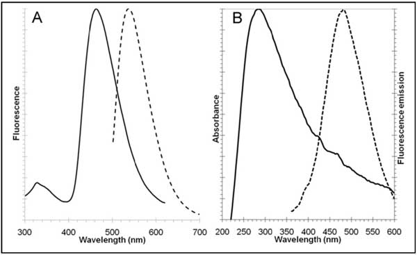 Aggresome Detection Kit (ab139486) | Abcam