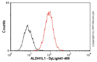 Anti-ALDH1L1 antibody [3E9] - Astrocyte Marker (ab56777) | Abcam