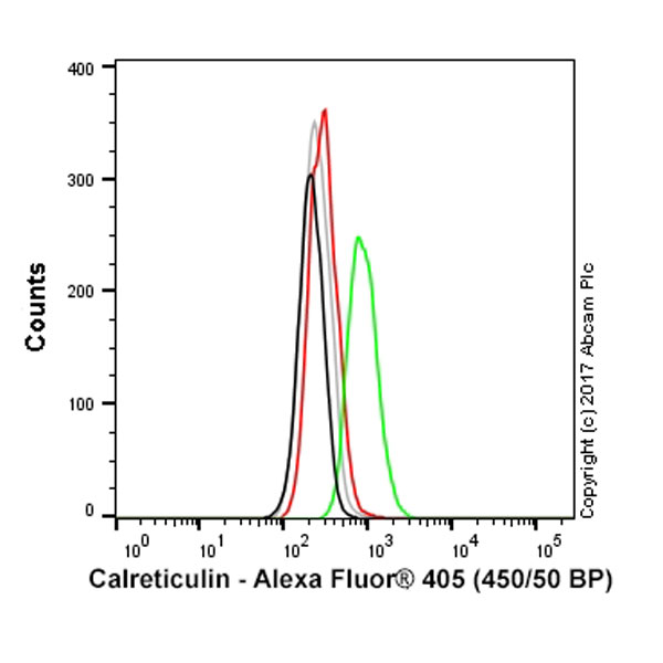 Alexa Fluor® 405 conjugated Anti-Calreticulin antibody [EPR3924] - ER ...