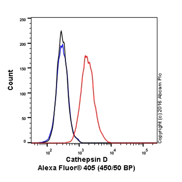 Alexa Fluor® 405 Anti-Cathepsin D antibody [EPR3057Y] (ab207875) | Abcam