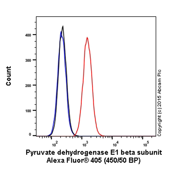 Alexa Fluor® 555 Anti-Pyruvate Dehydrogenase E1-alpha subunit抗体 ...