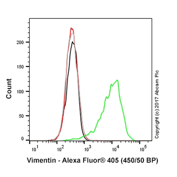 Alexa Fluor® 405 Anti-Vimentin抗体[EPR3776] - Cytoskeleton Marker ...
