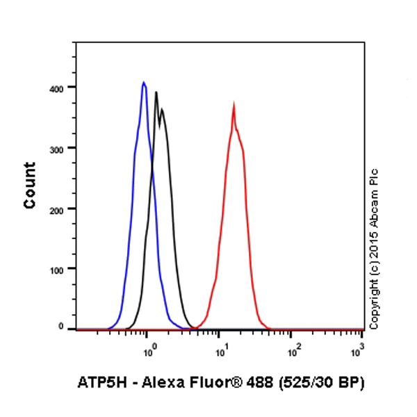 ATP5H抗体[10G5AB2] (ab173006)| Abcam中文官网