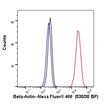 Alexa Fluor® 488 Anti-beta Actin 抗体 [SP124] - Cytoskeleton Marker (ab267526)
