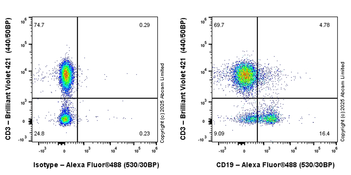 Alexa Fluor® 488 Anti-CD19 antibody [EPR28949-512] (ab323760) | Abcam