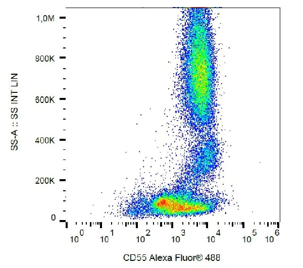 Anti-CD55 Alexa Fluor® 488 antibody [MEM-118] (ab187775) IgM | Abcam