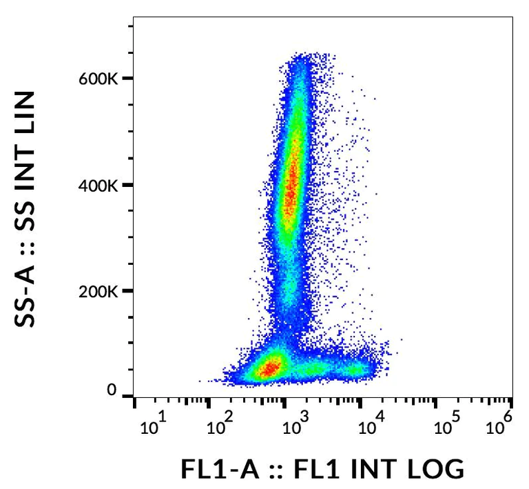 Alexa Fluor® 488 Anti-CD73 antibody [AD2] (ab252554) | Abcam