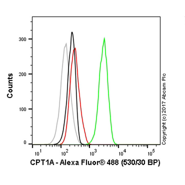 Alexa Fluor® 488 Anti-CPT1A antibody [8F6AE9] (ab171449) | Abcam