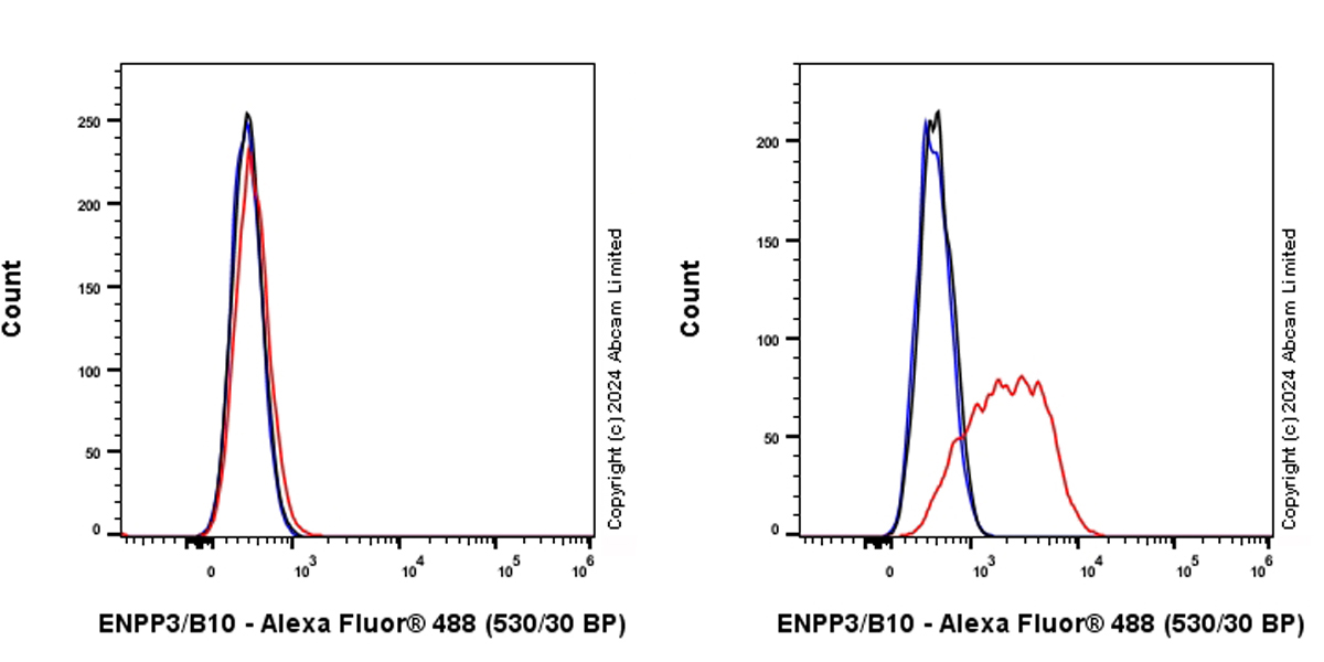 Alexa Fluor® 488 Anti-ENPP3/B10 antibody [EPR27349-72] (ab319125) | Abcam