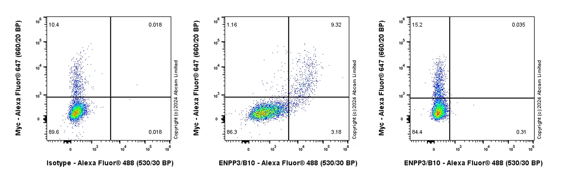 Alexa Fluor® 488 Anti-ENPP3/B10 antibody [EPR27349-72] (ab319125) | Abcam