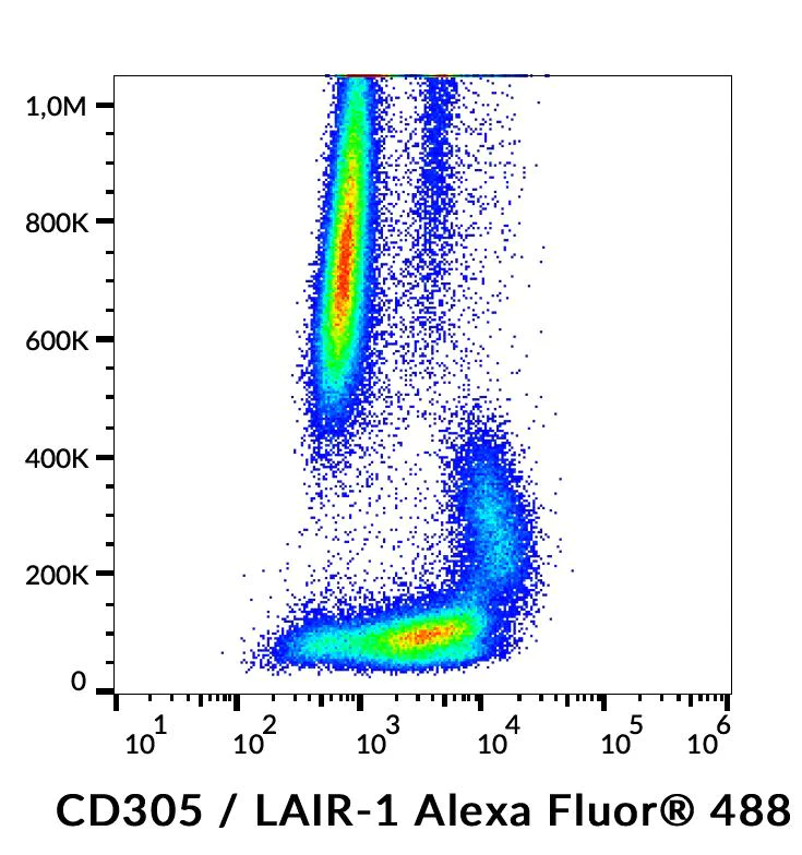 Alexa Fluor® 488 Anti-LAIR1抗体[NKTA255] (ab243082)| Abcam中文官网