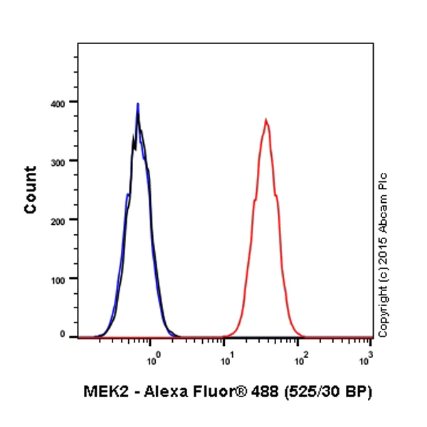 Anti-MEK2 Alexa Fluor® 488 antibody [Y78] (ab200606) IgG | Abcam