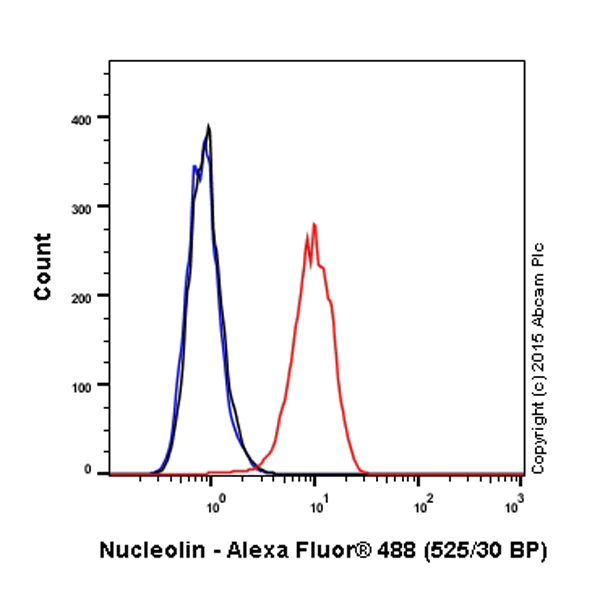 Alexa Fluor® 488 Anti-Nucleolin antibody [EPR7952] (ab202708) | Abcam
