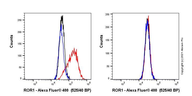 Alexa Fluor® 488 Anti-ROR1 antibody [EPR24451-141] (ab281762) | Abcam