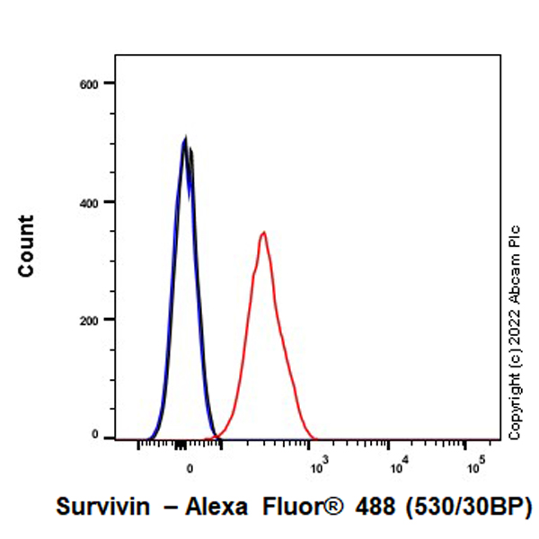 Alexa Fluor® 488 Anti-Survivin antibody [EPR20448] (ab307852) | Abcam
