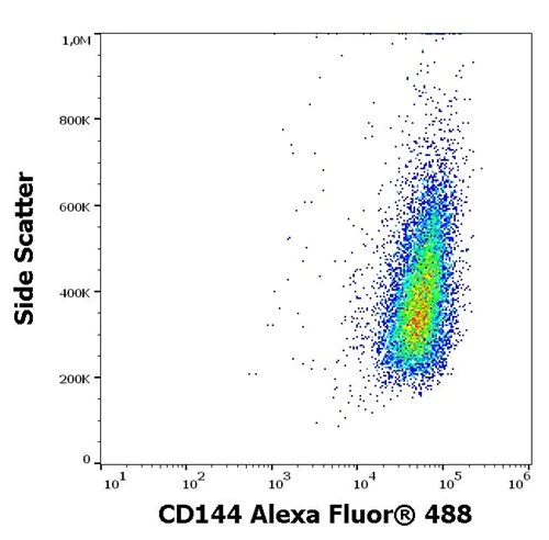 Alexa Fluor® 488 Anti-VE Cadherin antibody [55-7H1] (ab272345) | Abcam