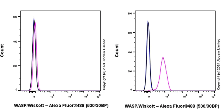 Alexa Fluor® 488 Anti-WASP/Wiskott-Aldrich syndrome protein antibody ...