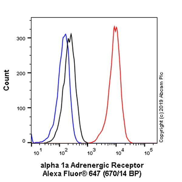 Alexa Fluor® 647 Anti-alpha 1a Adrenergic Receptor/ADRA1A抗体[EPR9691(B ...