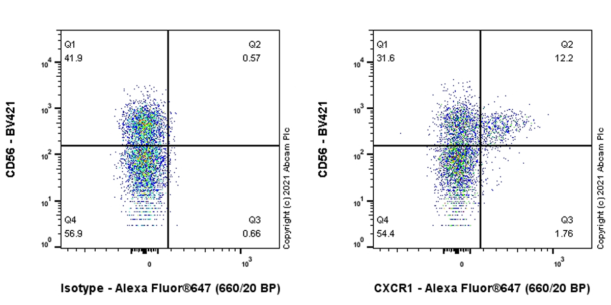 Anti-CXCR1 Alexa Fluor® 647 antibody [EPR23700-70] (ab282583) IgG | Abcam