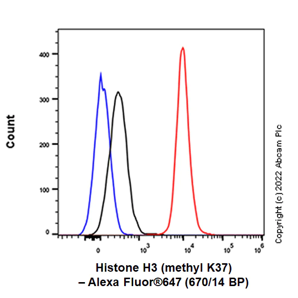 Alexa Fluor® 647 Anti-Histone H3 (methyl K37) antibody [EPR20970 ...