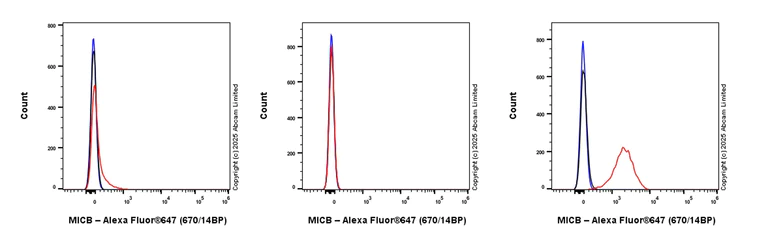 Alexa Fluor® 647 Anti-MICB antibody [EPR26362-65] (ab325223) | Abcam
