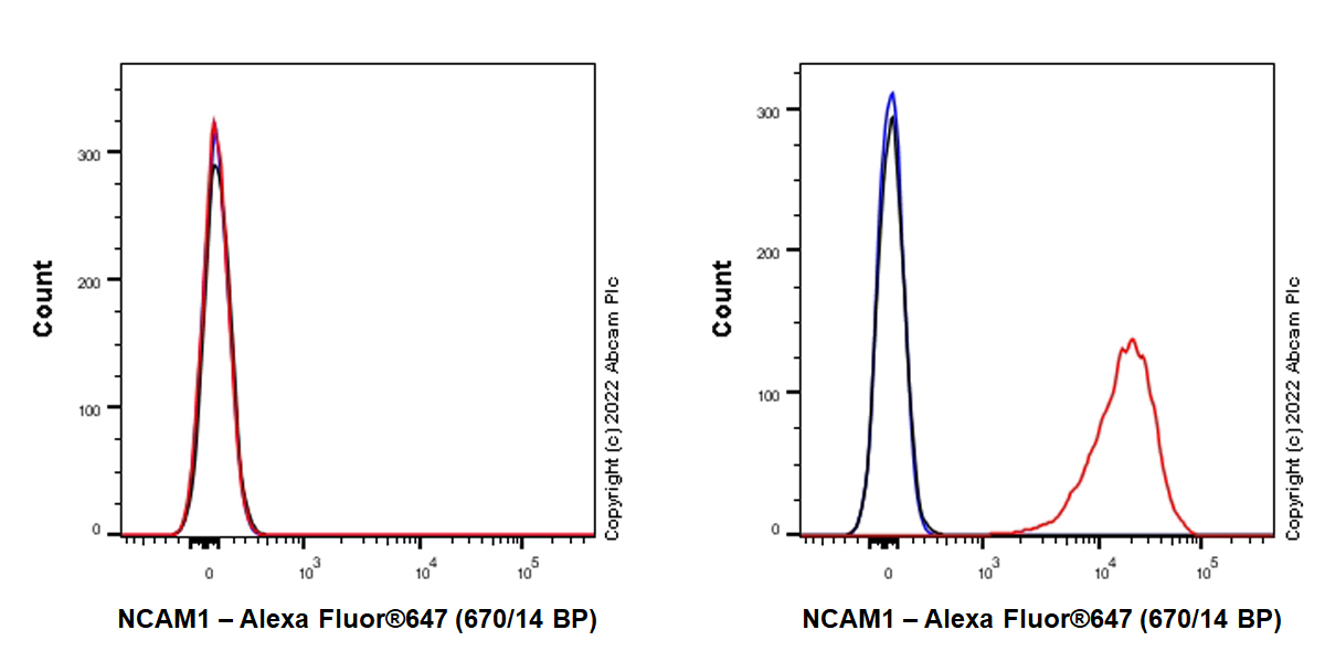 Anti-NCAM1 Alexa Fluor® 647 antibody [EPR21827] (ab302694) IgG | Abcam