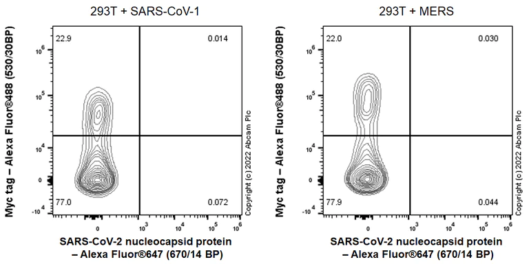 Anti-SARS-CoV-2 nucleocapsid protein Alexa Fluor® 647 antibody [EPR24334-118] (ab302552) | Abcam