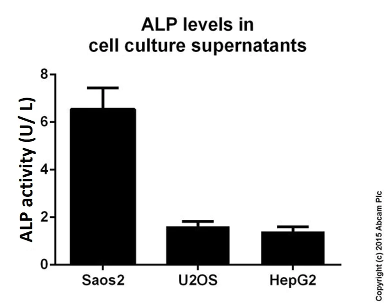 Alkaline Phosphatase Assay Kit (Colorimetric) / pNPP assay (ab83369 ...