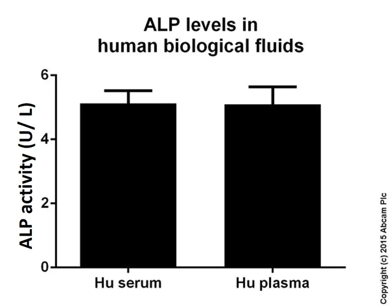 Alkaline Phosphatase Assay Kit (Colorimetric) / pNPP assay (ab83369 ...