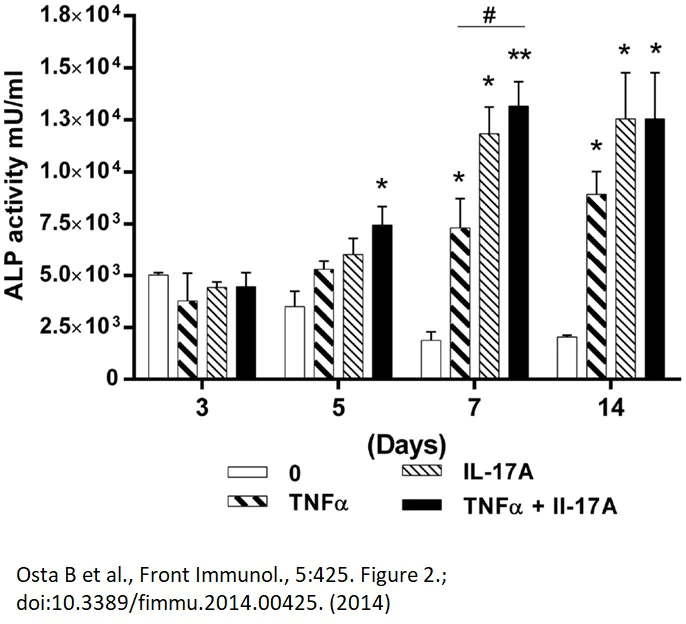 Alkaline Phosphatase Assay Kit. Fluorometric. (ab83371) | Abcam