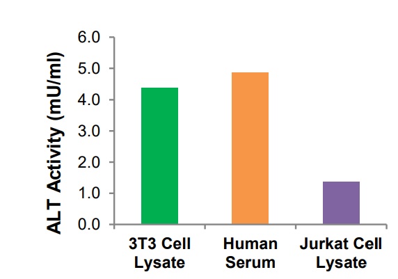 ALT Assay Kit (384 well, Colorimetric/Fluorometric) (ab241035) | Abcam