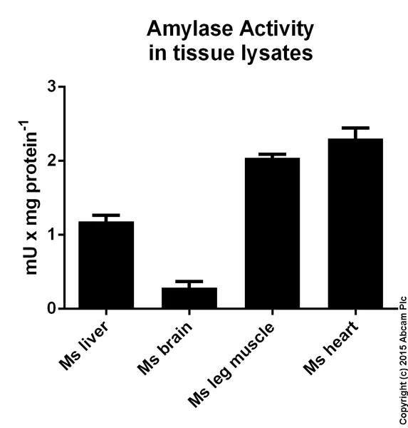 Amylase Assay Kit. Colorimetric. Quantitative. (ab102523) | Abcam