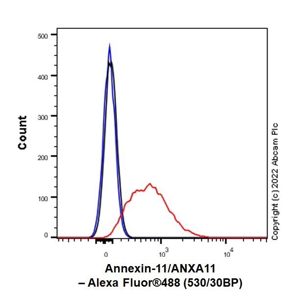 Anti-Annexin-11/ANXA11 antibody [EPR26004-63] (BSA and Azide free ...